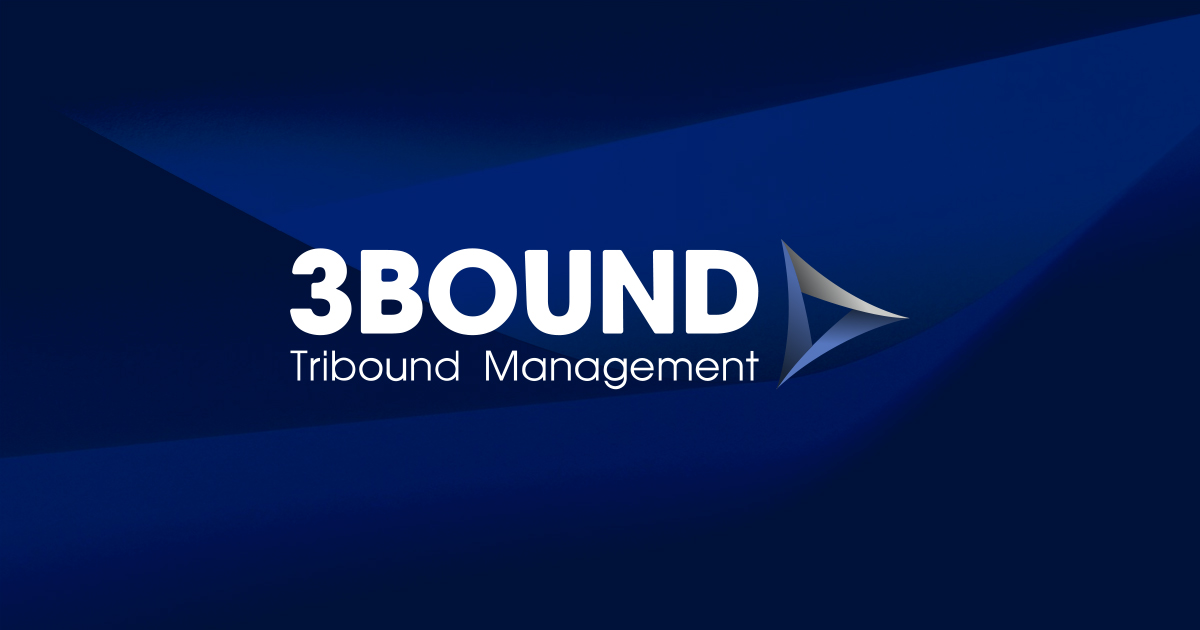 Interim menedzsment szolgáltatás - Tribound